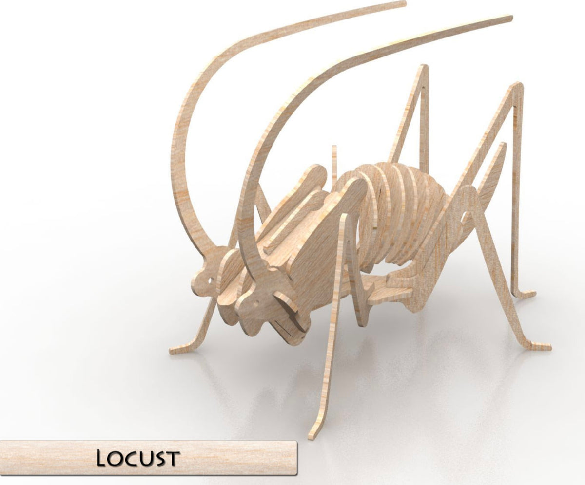 3D Puzzle- Insect Collection: Locust – IBranchedOut